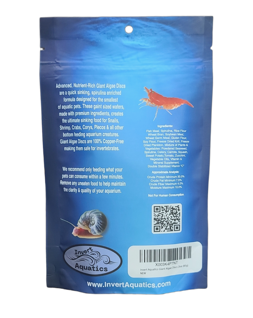 Giant Algae Discs – InvertAquatics