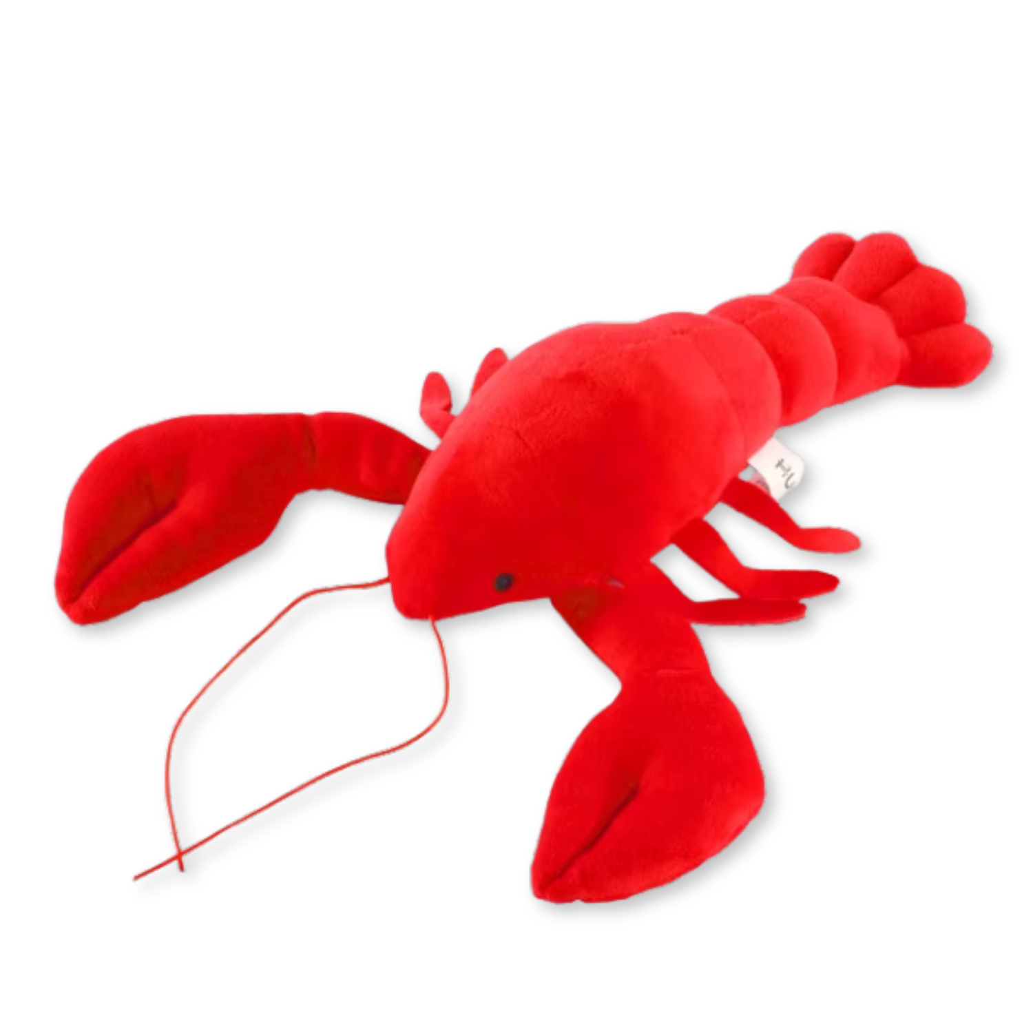 Lobster Plush – InvertAquatics
